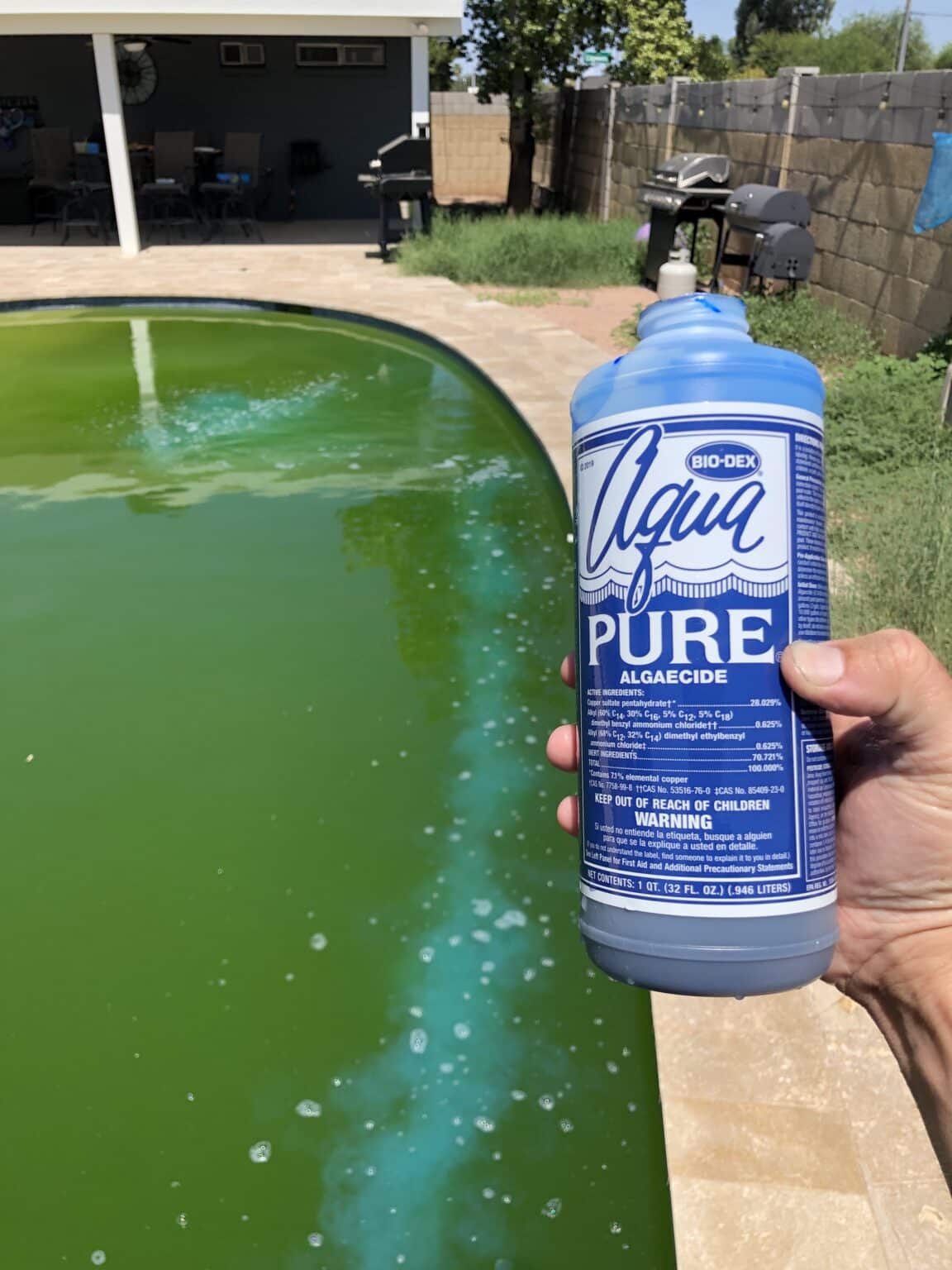 Pool Algae | Mesa, AZ | Good Life Pool Care